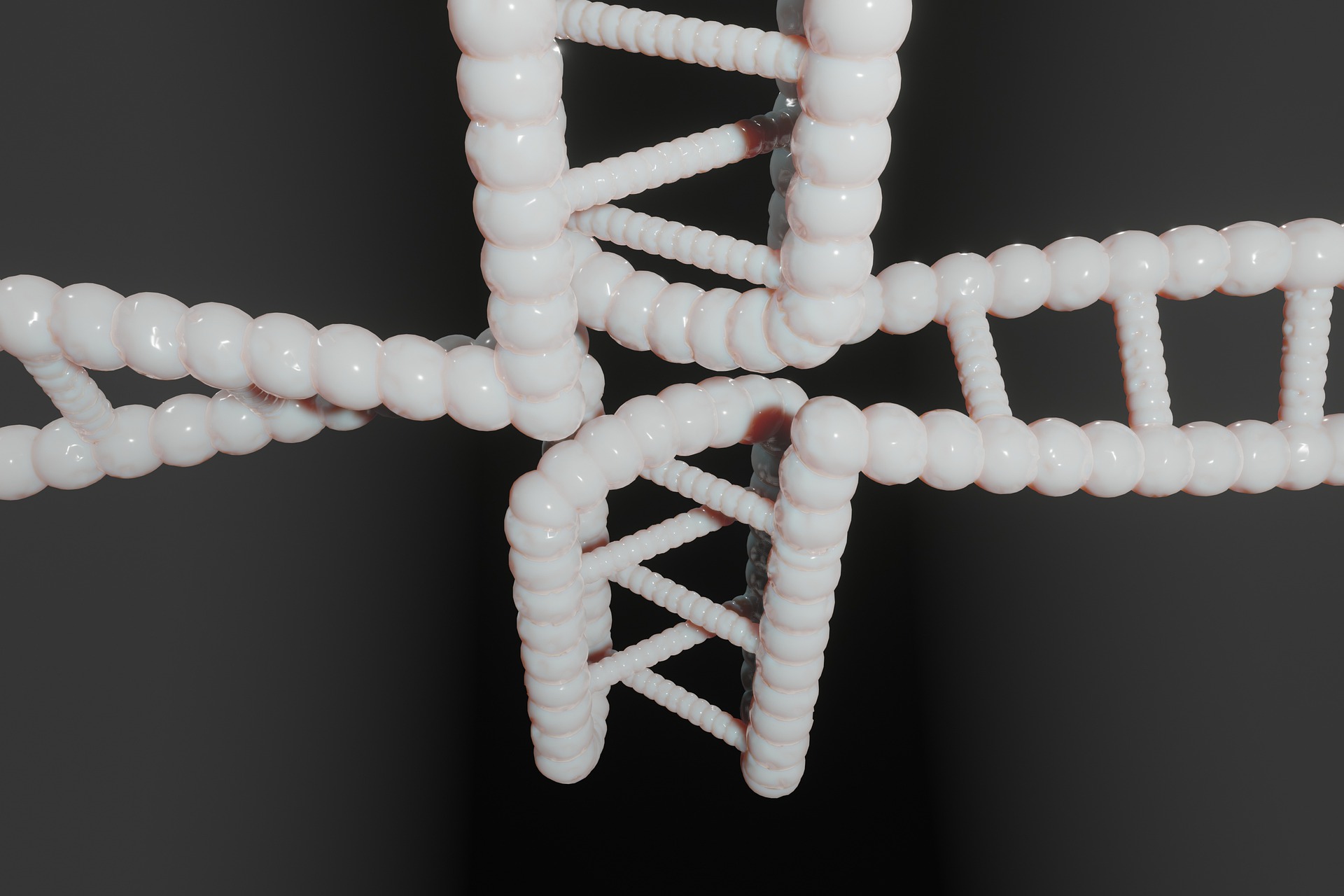 Intentional genetic introgression influences survival of adults and ...