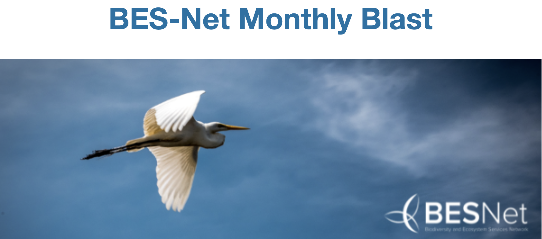 Newsletter - BES Net