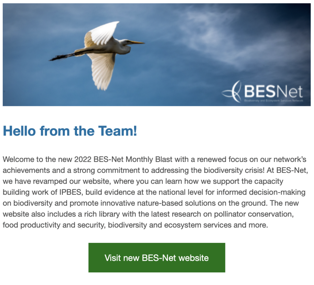 BES-Net Newsletter | Issue 33 | January 2022 - BES Net