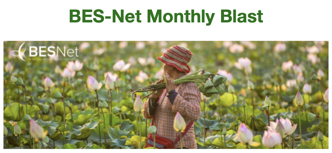 Home - BES Net