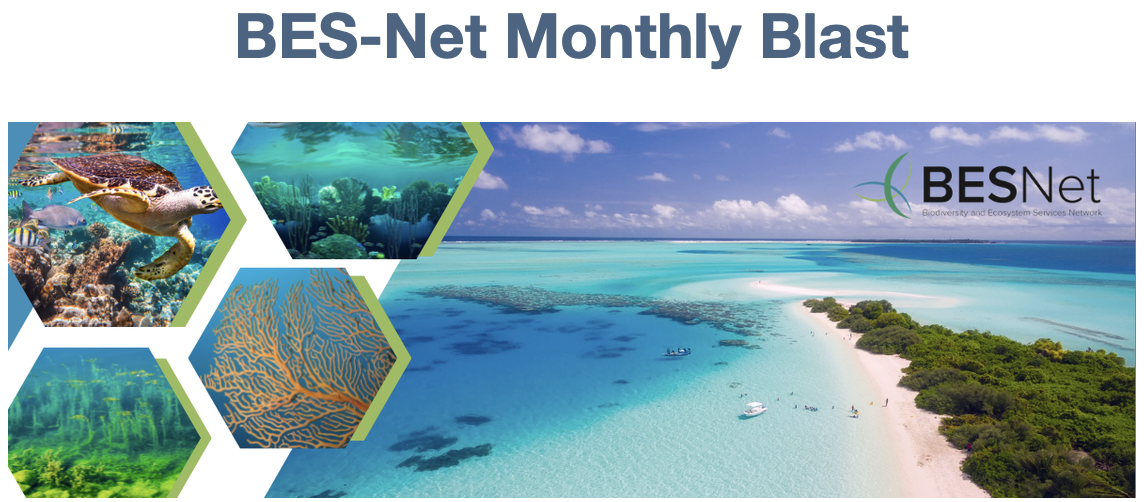 Newsletter - BES Net