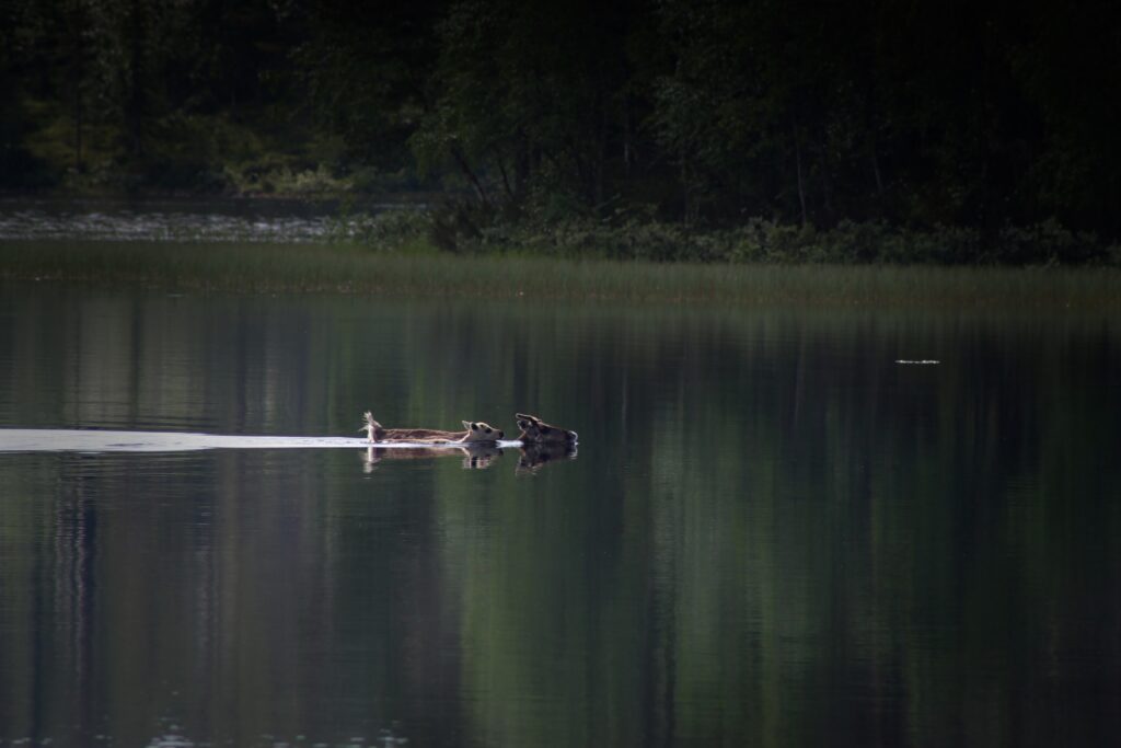 News and Stories - BES Net