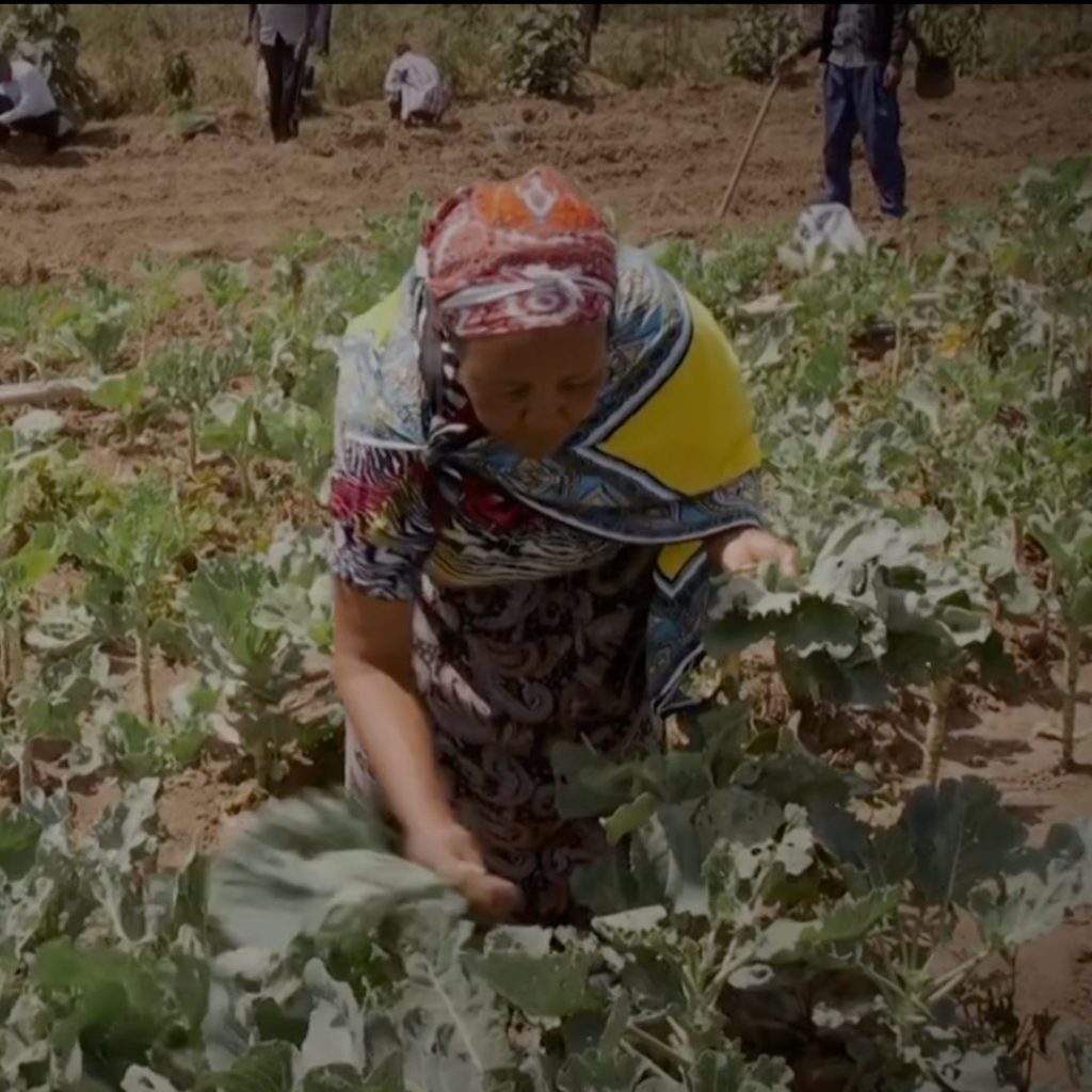 Shifting Sands: Land and Ecosystem Restoration in Kenya - BES Net