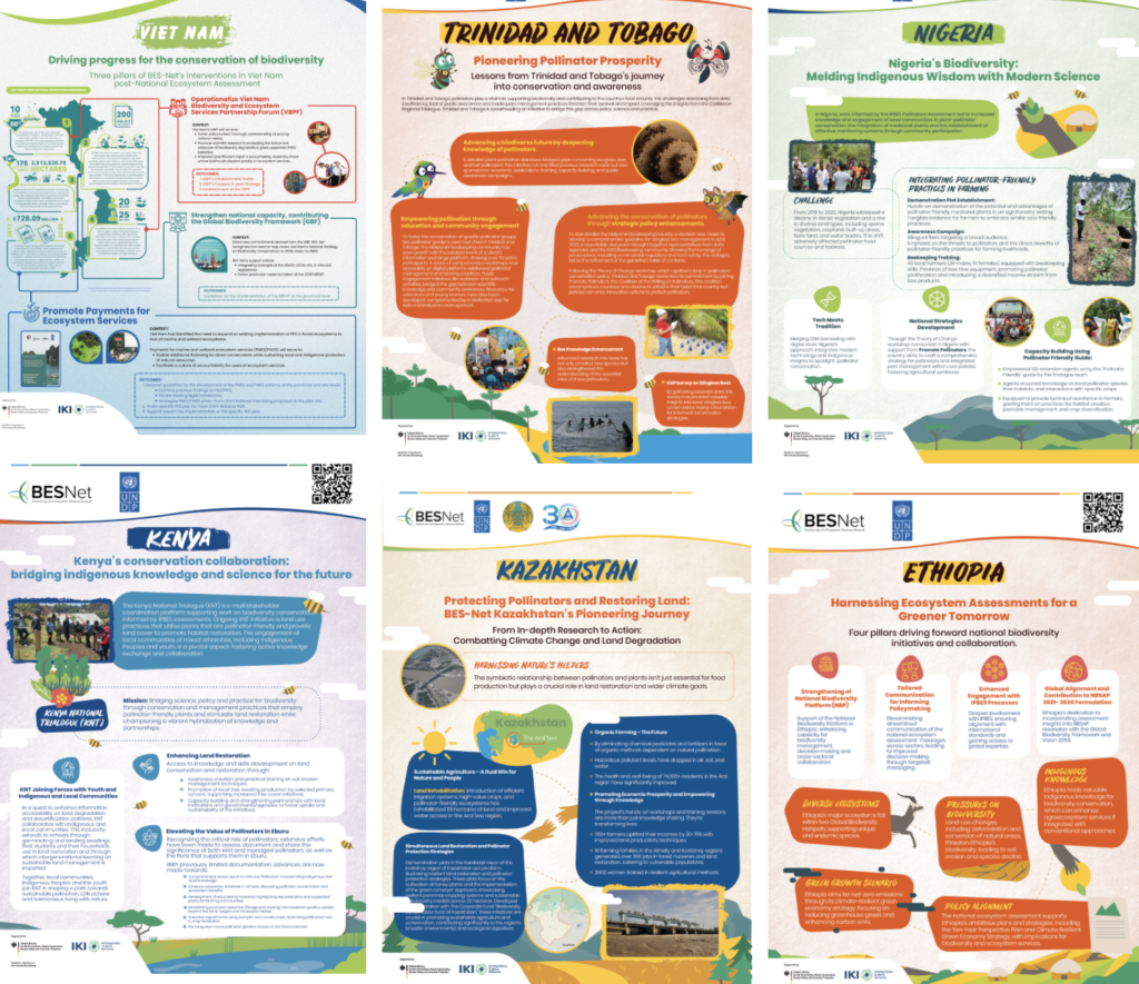 Bright Spots Posters Exhibition – BES Solution Fund Trialogue 2023 ...