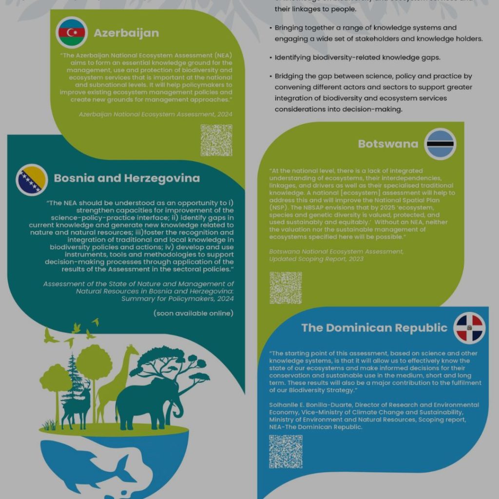 Harnessing National Ecosystem Assessments For The Development Update