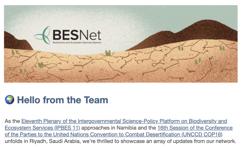 BES-Net Newsletter | Issue 67 | November 2024 - BES Net