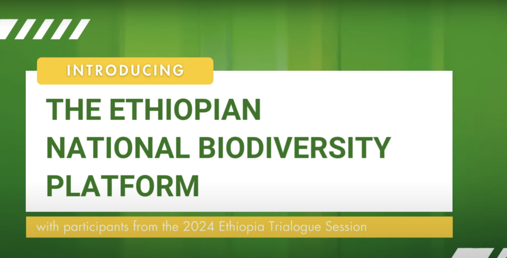 Introduction to Ethiopia National Biodiversity Platform (NBP-Ethiopia ...
